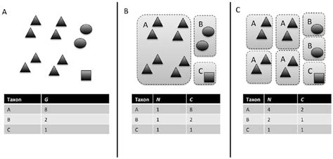 conceptual diagram illustrating how variation in genomic 16s copy