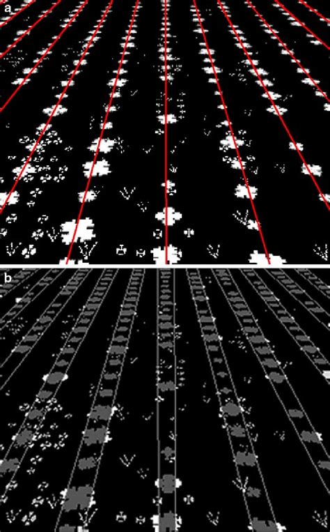 A Image With Perspective Effects Crop Row Detection In A Sunflower Download Scientific Diagram