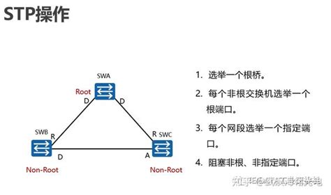 Stp生成树协议（超详细小白也能看懂） 知乎