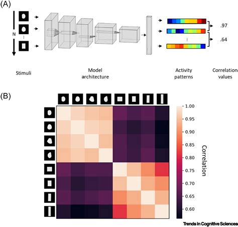 The Where What And How Of Object Recognition Trends In Cognitive Sciences