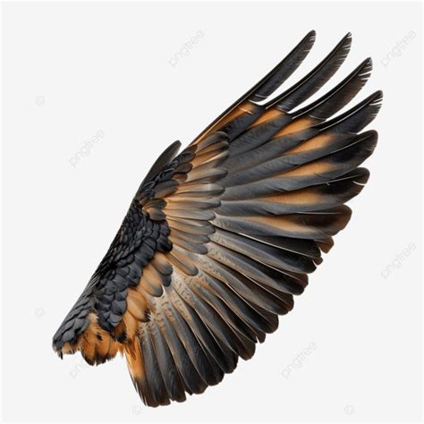 장식용 새의 날개 새 날개 분홍색 Png 일러스트 및 이미지 에 대한 무료 다운로드 Pngtree