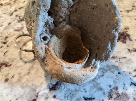 Is This A Fossilized Egg R Paleontology