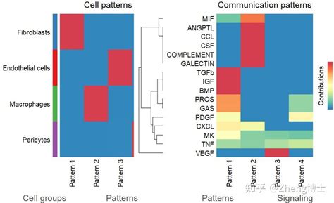 细胞通讯分析（单细胞测序）———cellchat（homo、mus） 知乎