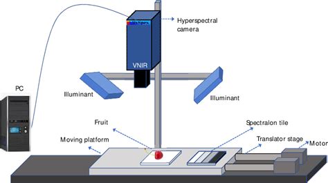 Figure 1 From A New Optimization Model For The Restoration Of The