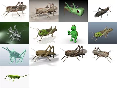 Top 13 Grasshopper 3d Models Resources Latest 2022 Open3dmodel
