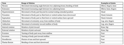 Clinical Concepts Exam 2 Flashcards Quizlet