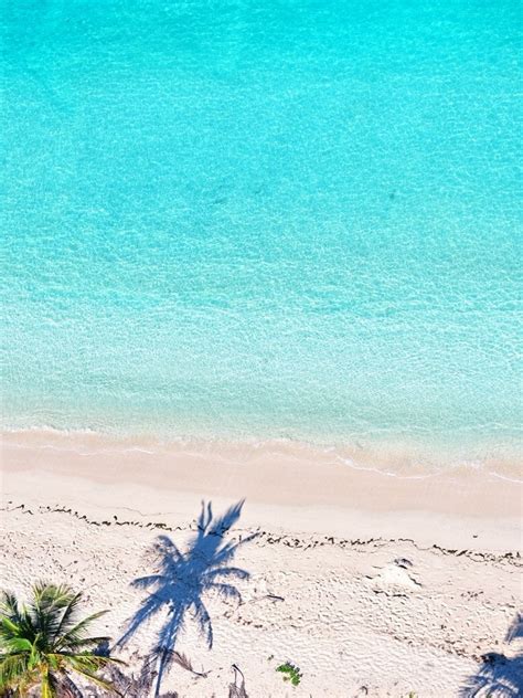 Isla Culebrita Puerto Rico Usa Oc 768x1024 Rearthporn
