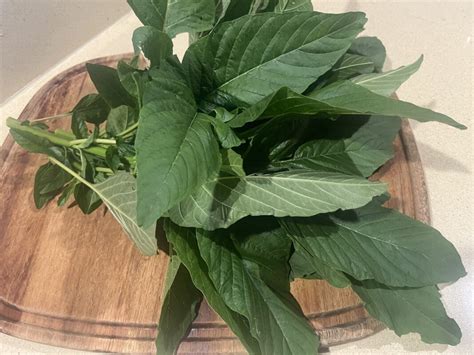 Jamaican Callaloo