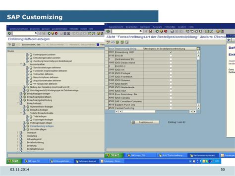 PPT SAP Customizing PowerPoint Presentation Free Download ID