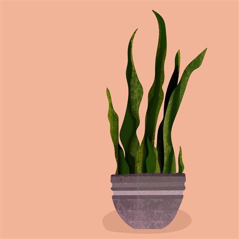 Download Plant Drawing Botanical Royalty Free Stock Illustration