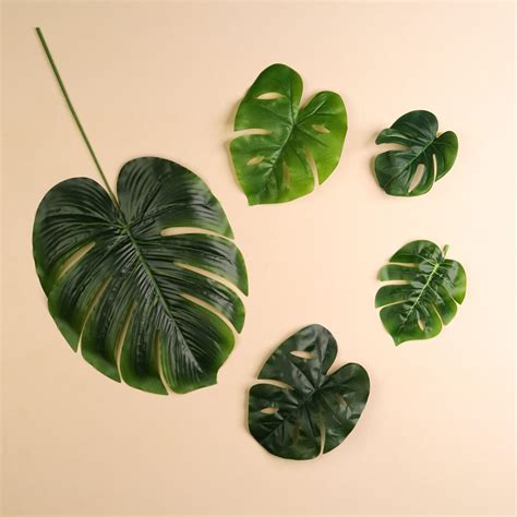 برگ انجیری بکدراپ عکاسی محصول فتوتریپ