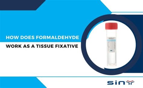How Does Formaldehyde Work As A Tissue Fixative How Does Formaldehyde Work As A Tissue Fixative