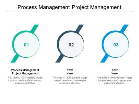 Process Management Project Management Ppt Powerpoint Presentation Portfolio Files Cpb Graphics