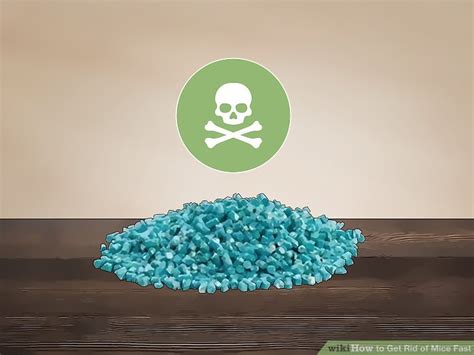 Ways To Get Rid Of Mice Fast WikiHow