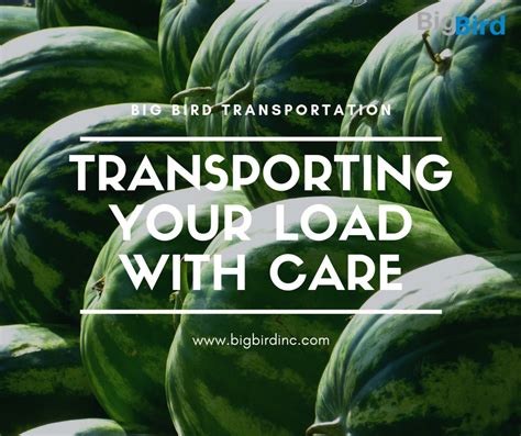 Lali Singh Posted On Linkedin