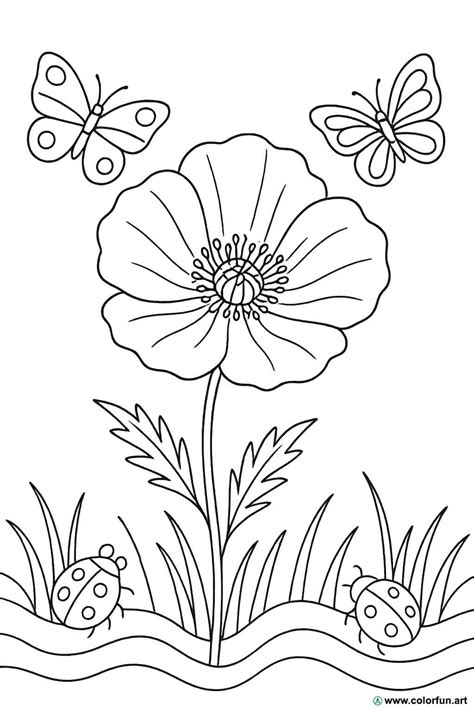 Disegno Da Colorare Semplice Del Papavero Scarica O Stampa Gratuitamente