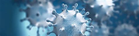 Sars Cov 2 Sequencing
