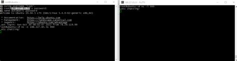 How To Install Ncat On Windows And Linux