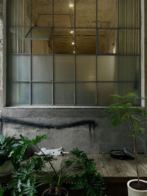 在生活里，我们命中碰到的一切美好的东西，都是以秒计算的财经头条