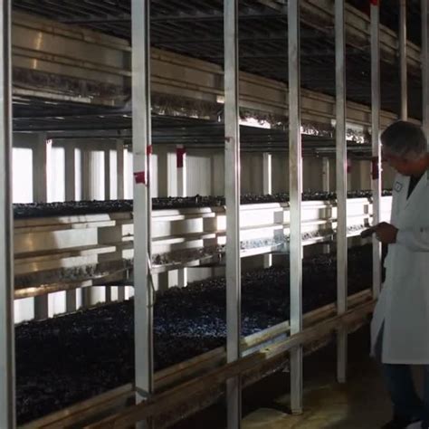 Serhii Vasylenko On Linkedin National Farmworker Appreciation Day