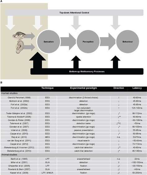 A Depiction Of Manners In Which Top Down Attentional Control And