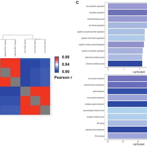 Standard Dia Proteome Analysis Findings A Download Scientific Diagram