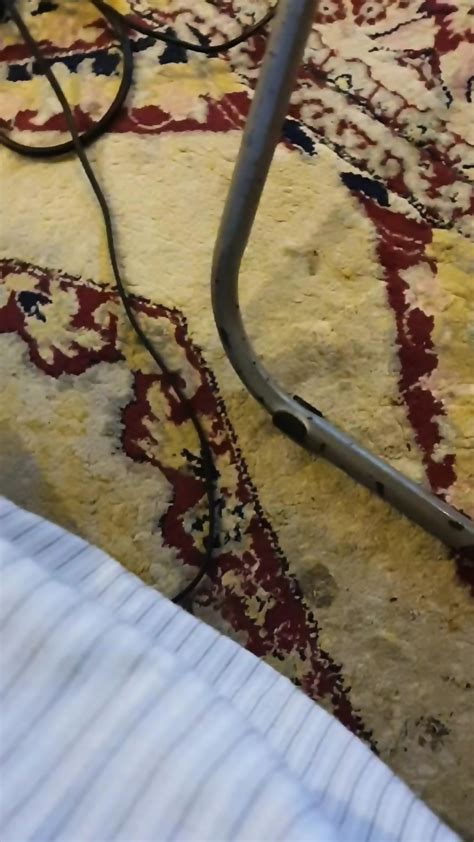 ديوث يتجسس على خواته Eporner