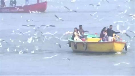 Migratory Birds বারাণসী ও ত্রিবেণী সঙ্গমে পর্যটকদের এখন আকর্ষণ সাইবেরিয়ান পাখি Desh Aaj