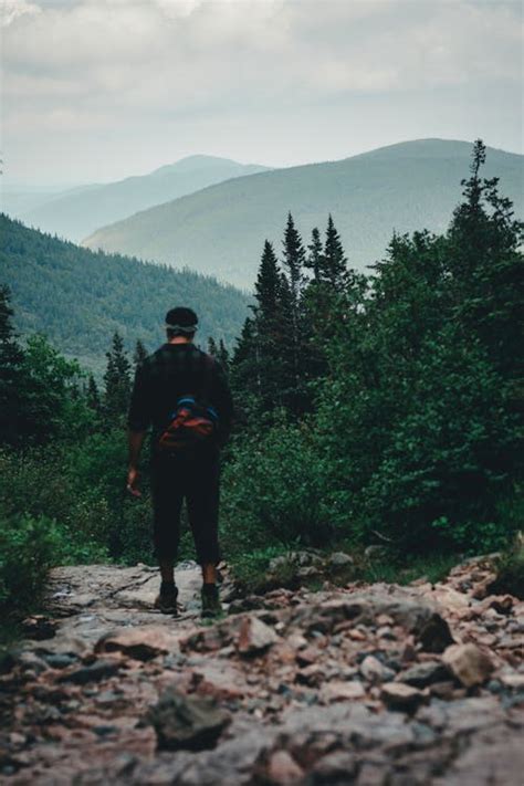경치 경치 좋은 전망 광야 나무 남성 남자 녹지 도보 여행자 모험 모험 관광 무성한 바위 같은 길 배낭 배낭여행 북미 산 산길 산림 흔적