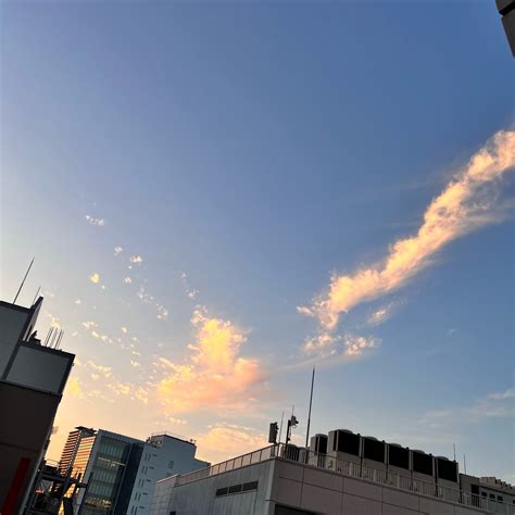 Oneus 커뮤니티 포스트 예뻤던 나고야의 하늘 건희