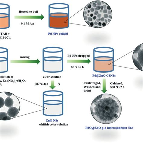 Schematics Of The Synthesis Processes Of A Pd Nps B Zno Nss And Download Scientific