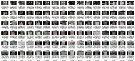 基于yolov8深度学习的农作物幼苗与杂草检测系统【python源码pyqt5界面数据集训练代码】深度学习实战、目标检测 阿里云开发者社区