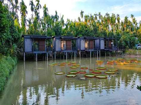 ในสวน รีสอร์ท ระยอง Naisuan Resort Rayong ที่พักอำเภอบ้านค่าย ระยอง