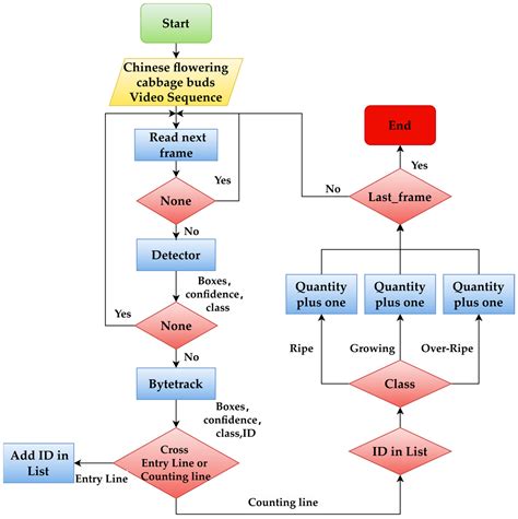 Agronomy Free Full Text Improved Feature Fusion In Yolov5 For Accurate Detection And