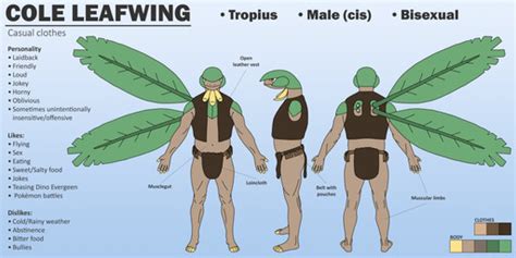 Pool Cole Leafwing Reference Sheet CyberDiaperMan E621