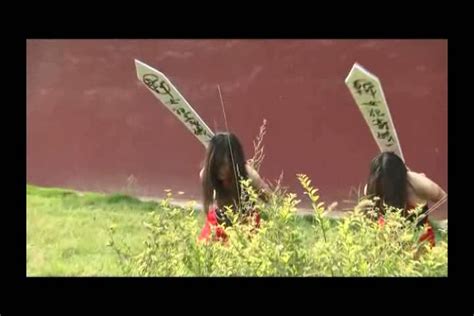 Themis Collection Executions