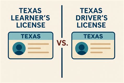 Texas Learners License Vs Drivers License Whats The Difference