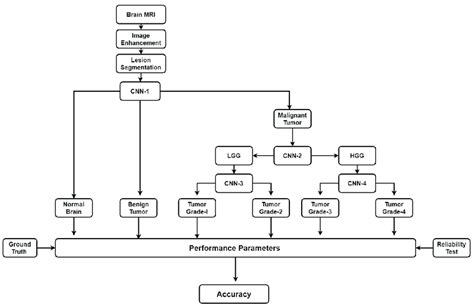 Plausible Solution For Brain Tumor Grading Download Scientific Diagram