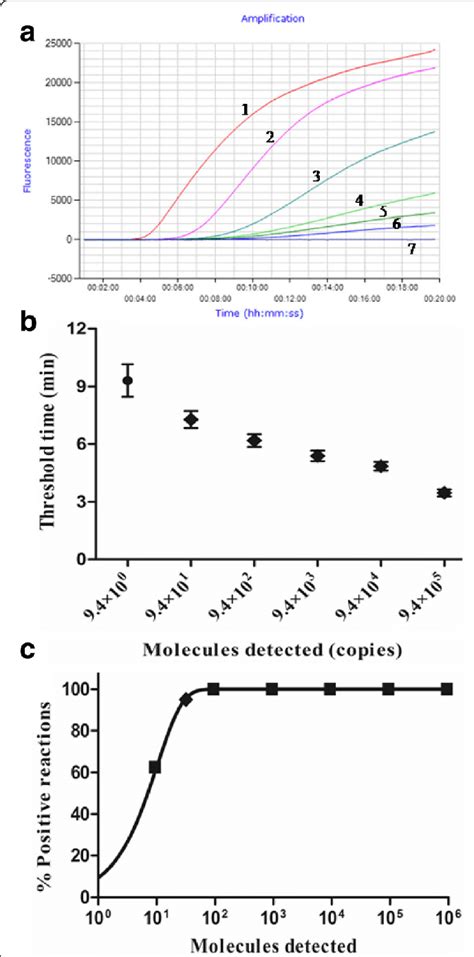 Performance Of The Cdv Rt Rpa Assay A Fluorescence Development Over
