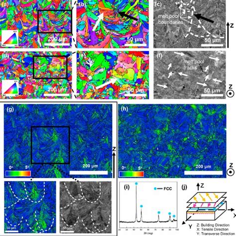 Ebsd Ipf Map Kam Map And Fsd Map Of Microstructure On Xz Plane Step Download Scientific