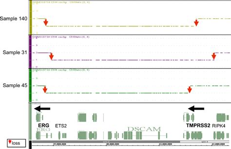 Affymetrix Genotyping Console Browser View Of The Segment Deletion