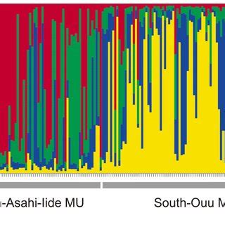 Bayesian Assignment Of Population Structure STRUCTURE Bar Plot Of The Download Scientific
