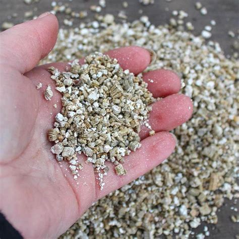 Vermiculita O Perlita ¿cuál Es La Mejor Opción En Plantas