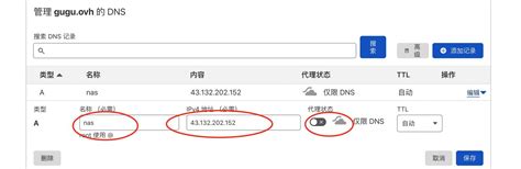 【好玩儿的docker项目】家里没有公网ip？frp npm vps 随时随地用域名访问家里的任何设备！内网穿透，从未如此简单！ 爱玩实验室