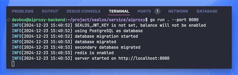 Sealos Devbox 基础教程：使用 Cursor 从零开发一个 One Api 替代品 Csdn博客