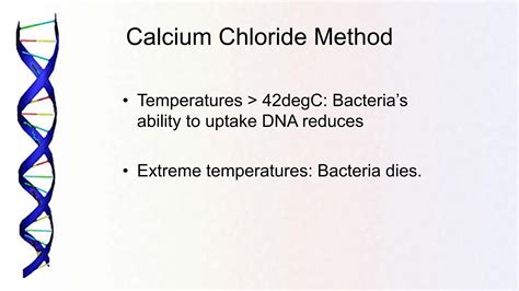Genetic Transformation Of Bacteria Methods And Applications In Biological Research And