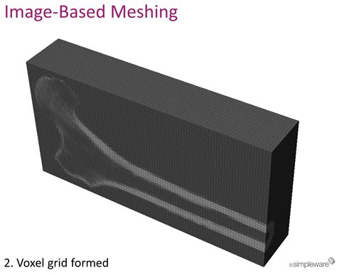 image based meshing example of a voxel grid being formed from image