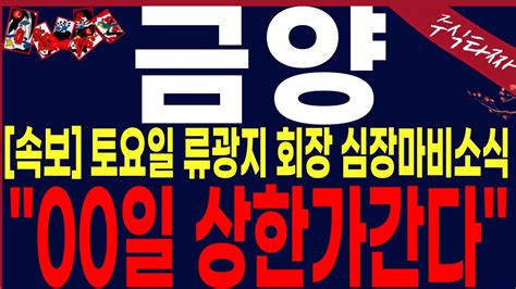 금양 주가전말 긴급 류광지회장의 지분 금양 금양주가전망 금양주가 금양대응전략 금양주식전망 금양주가분석 이차전지 Youtube