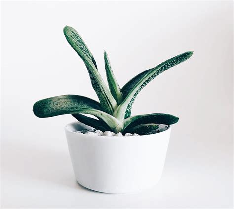 5 Use Cases For Slice In Javascript By Damla Sehnaz Better