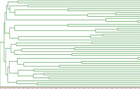 Upgma Dendrogram Depicting Genetic Relationship Among 45 Genotypes Of